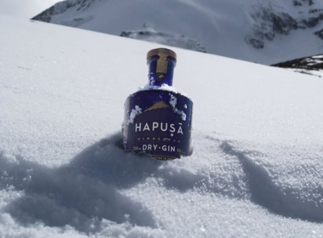 Best Gin Brands in India with Price List: Top Picks for 2025