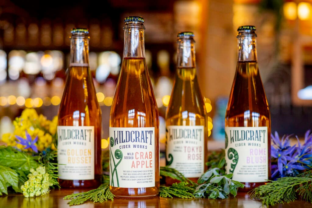 What Is Cider? A Complete Guide