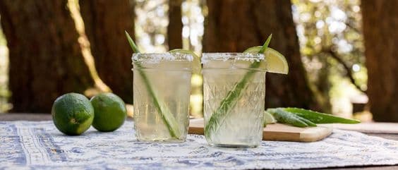 What Is Chareau Aloe Liqueur? A Handy Introduction