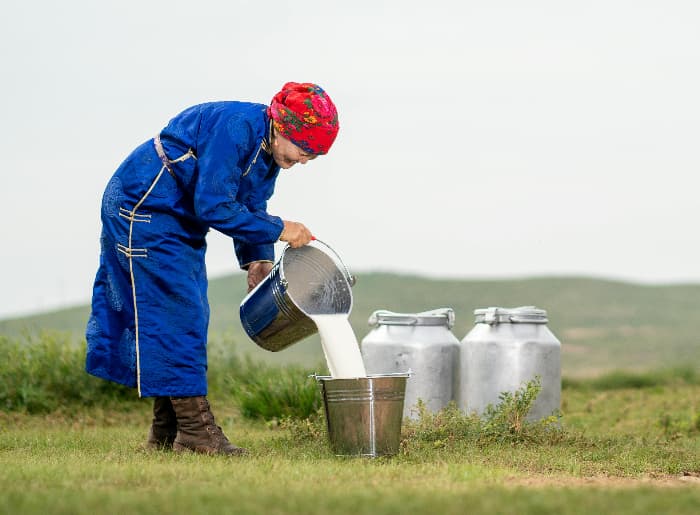 Airag: A Traditional Central Asian Drink Made From Mare’s Milk