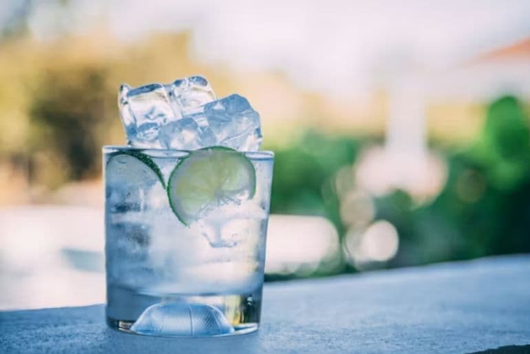 Top 9 Best Gins Under 1000 In Mumbai For 2026