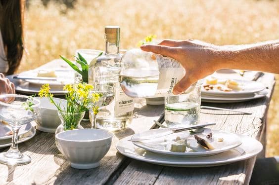 What Is Chareau Aloe Liqueur? A Handy Introduction