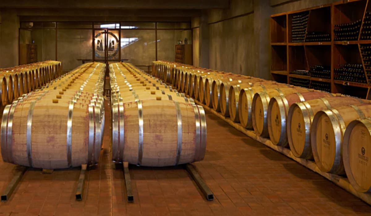 5 Vineyard & Distillery Tours Every Indian Should Try